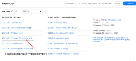 idea2021 3 3的安装方式以及使用方法 idea2021 3 3安装教程 csdn博客
