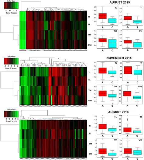 Heat Map Analysis Using Z Score Compared With Their Respective Controls Download Scientific