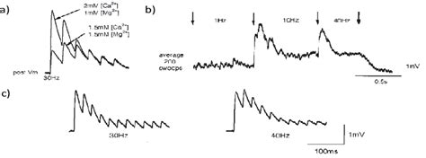 biological data of a depressing synapse taken from [2] a lowering