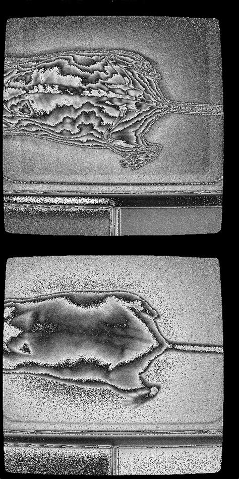 Unknown Image Header What Could Be Causing Distortions Stack Overflow