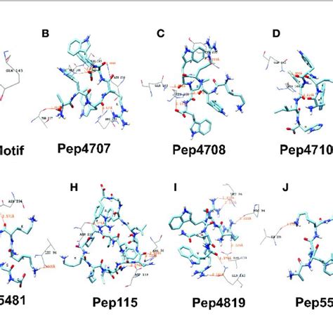Representative Results From In Silico Molecular Docking For The