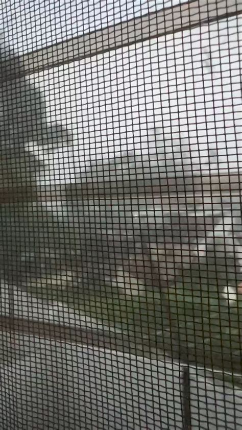 Bagyong Kristine Patuloy Na Magpapaulan Sa Malaking Bahagi Ng Bansa Live Weather Update Today