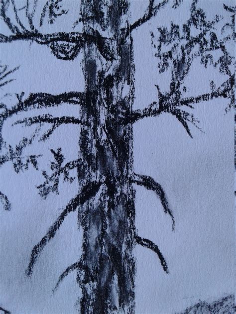 Charcoal Tree DrawingCharcoal Landscape DrawingMountain Pine Etsy