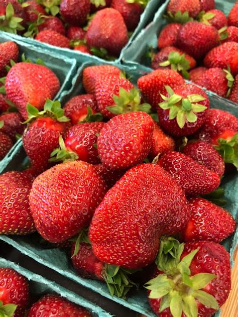 건강한 과일 과즙이 많은 날 것 녹색 바구니 농산물 시장 농업 농작물 다이어트 달콤한 디저트 딸기 맛있는 바구니 베리류 비건 채식 비타민 C