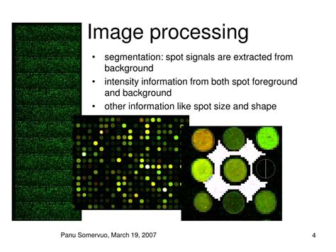 Ppt Cdna Microarrays Powerpoint Presentation Free Download Id318298