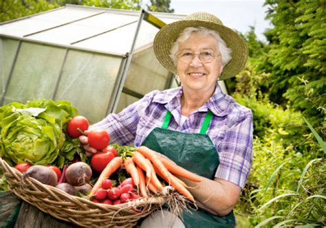Таблица с торове за летни жители и времето на тяхното прилагане кога и с какво да се хранят