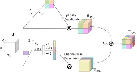 A Scse Architecture Model Composed Of Cse And Sse Download Scientific Diagram