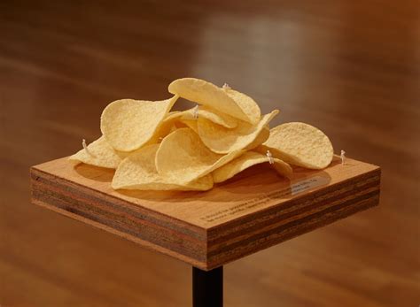 sou fujimoto creates chicago installation from potato chips