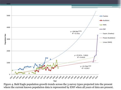 Population Projection Of Bald Eagles Ppt