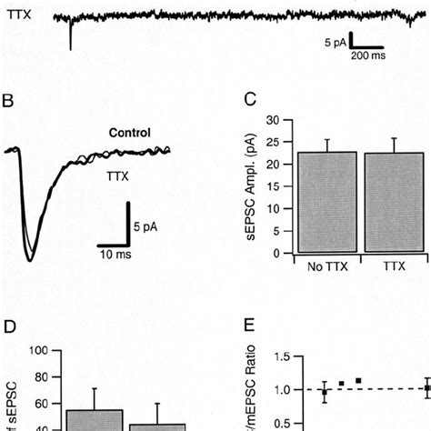 Comparison Between Spontaneous Sepsc Ttx Sensitive And Mepsc Ttx