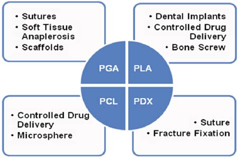 Biomedical Applications Of Synthetic Aliphatic Polyesters [256 264] Download Scientific Diagram
