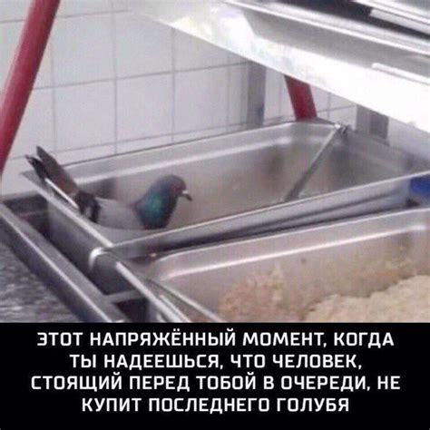﻿ЭТОТ НАПРЯЖЁННЫЙ МОМЕНТ КОГДА ТЫ НАДЕЕШЬСЯ ЧТО ЧЕЛОВЕК СТОЯЩИЙ ПЕРЕД ТОБОЙ В ОЧЕРЕДИ НЕ