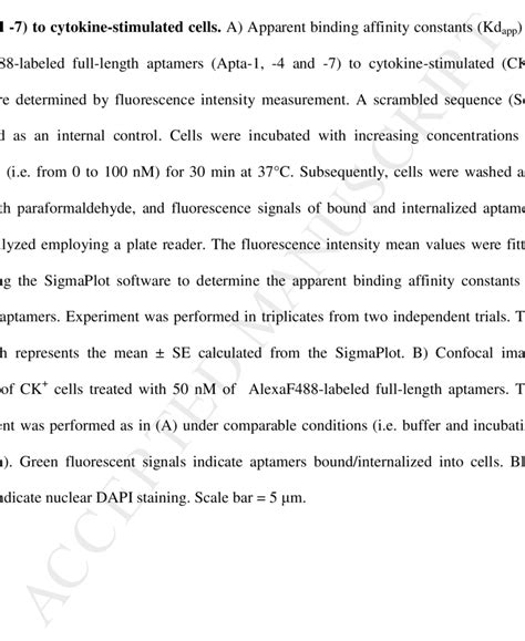 Binding Specificity And Affinity Of Cell Internalizing Aptamer
