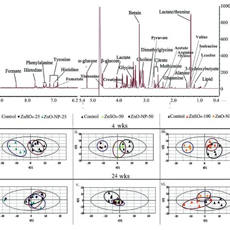 1 H Nmr Analysis Of Large Molecule Metabolites A The Nmr Spectral