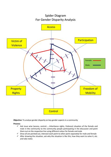 Spider Diagram For Gender Analysis PDF