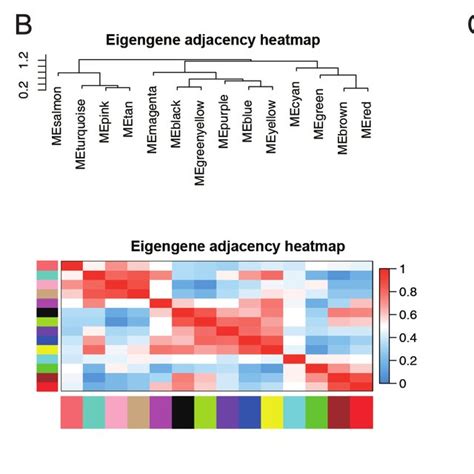 Correlation Analysis Between Gene Modules And Clinical Information A Download Scientific
