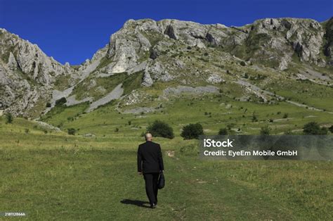 여행 가방을 들고 산을 배경으로 들판을 걷는 사업가의 뒷모습 35 39세에 대한 스톡 사진 및 기타 이미지 35 39세 45 49세 걷기 Istock