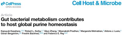 绘谱导读 「202306」化学蛋白质组学揭示小分子代谢物功能，tca相关代谢酶调控肿瘤发生 肿瘤细胞 氨基酸代谢 非靶向代谢 脂质 多组学代谢流检测分析 脂肪酸定量 肠道微生物菌群检测 麦特绘谱