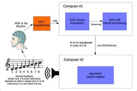 Experimental Setup Electroencephalogram Eeg Signal From Subject