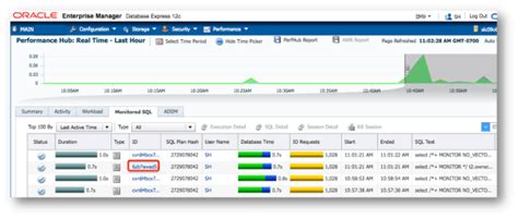 Getting The Most Out Of Oracle Sql Monitor