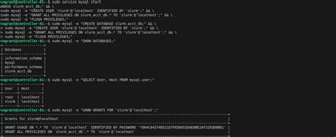 Single Node Slurm Setup RiverXData