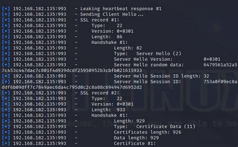 GitHub Hannah A S Adjei Exploiting SSL Weaknesses A Tactical Maneuver