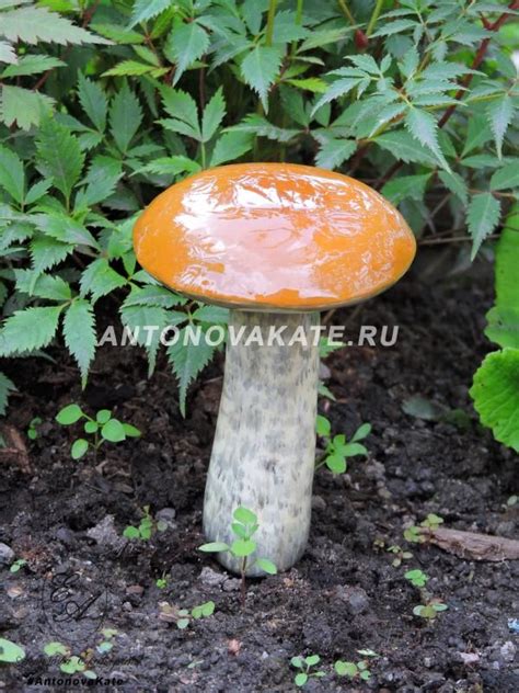 Мастер-класс "Грибы из гипса своими руками" | Грибы, Шляпки грибов, Гипс