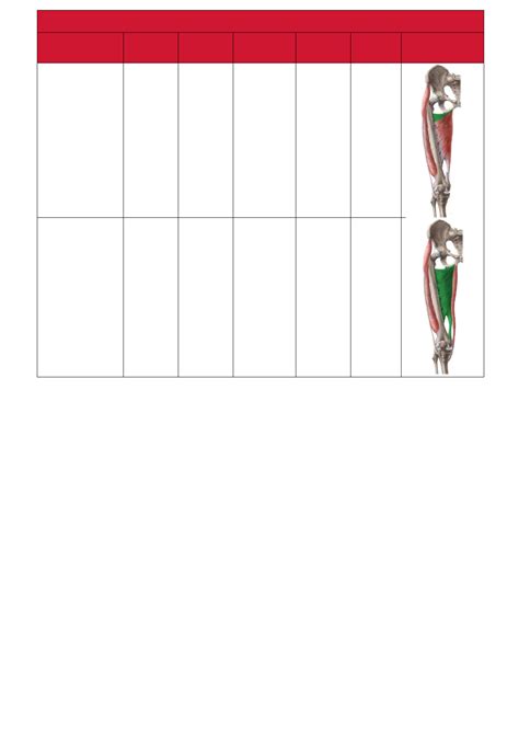 Tabela Músculos Origeminserçãoação 1 MÚsculos Ombro MÚsculo