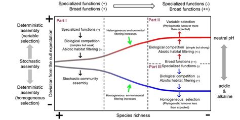 Conceptual Model Of Bacterial Community Assembly Processes This Download Scientific Diagram