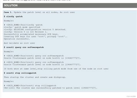 Oracle 19c添加磁盘报错 Ora 15137 Csdn博客