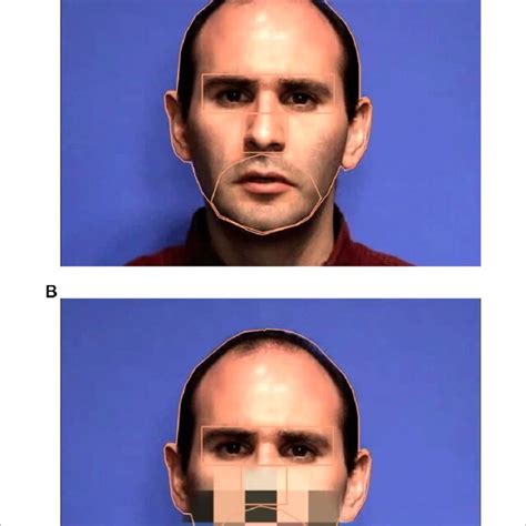 Statistical Tests Of Eye Tracking Should Be Hyphenated Download Scientific Diagram
