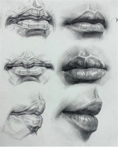 Mouths To Draw Sketch Of Mouth Drawing Reference Poses Sketch