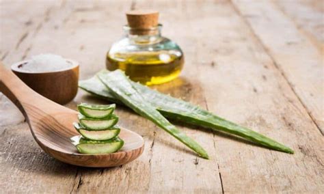 Is Aloe Vera Helpful For Male Enhancement Read The Answer Here