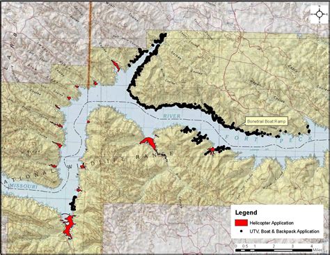 Someone Recently Asked About The Invasive Saltcedar Or Tamarisk Found