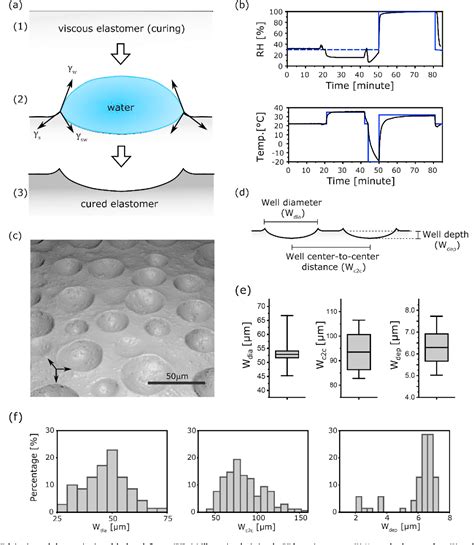 Figure 1 From A Free Form Patterning Method Enabling Endothelialization