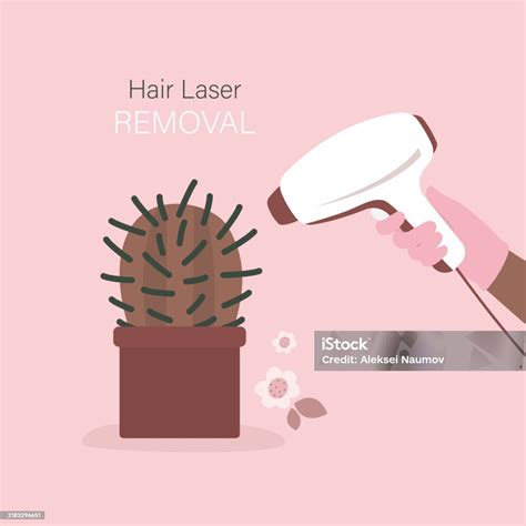 미용사 손은 선인장 제모 레이저 제모 제모 방법 및 문제를 수행하는 레이저 제모기를 사용합니다 미용실 안전 레이저 제거 절차 광고 건강관리와 의술에 대한 스톡 벡터 아트 및