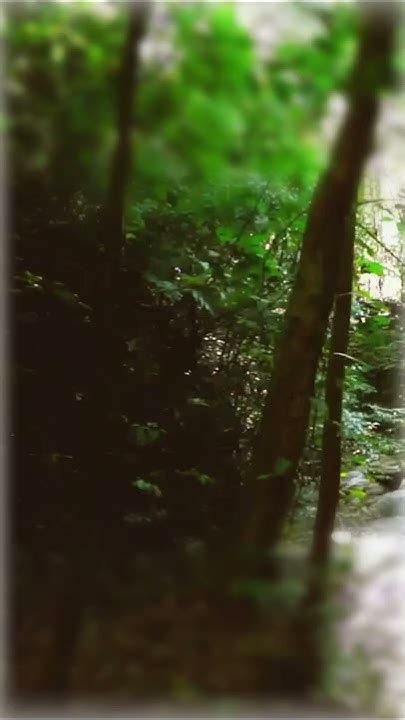 🔴 Про Жизнь Со Смыслом Мудрая Притча Youtube