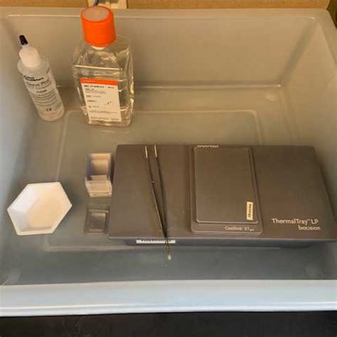 Formation Of Optimal Cutting Temperature OCT Tissue Blocks For Cryosectioning