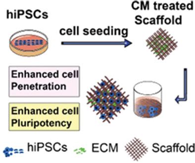 Macromolecular Bioscience Vol No