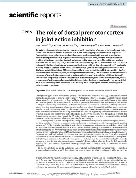 Pdf The Role Of Dorsal Premotor Cortex In Joint Action Inhibition