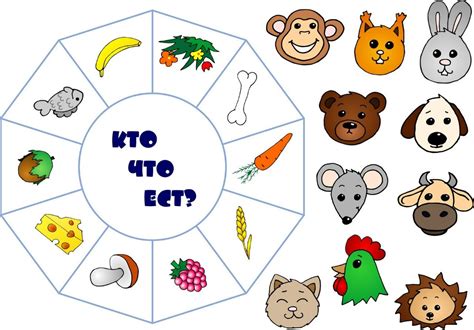 Картинки для детей кто что ест дикие животные