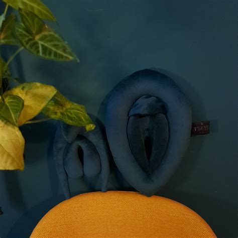 Vulva Pillows Anatomy Set Plushy Puppets For Sex Education Etsy Canada