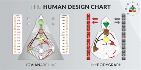 Jovian Archive Human Design Human Design System Design