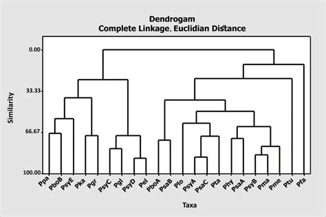 dendrogram of cluster analysis of pyrus taxa using quantitative