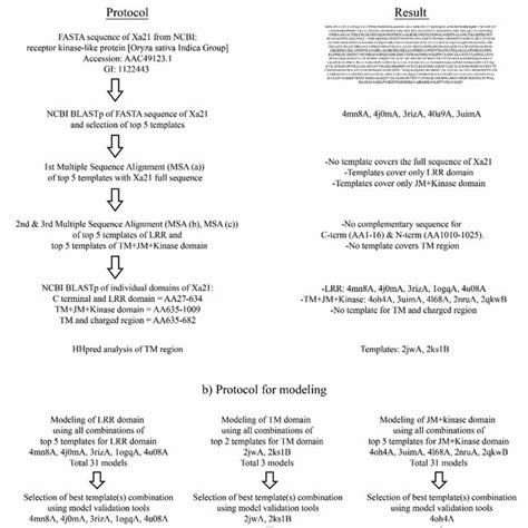 Multiple Template Modeling Protocol Of Xa21 Using The Hhpred Server Download Scientific Diagram