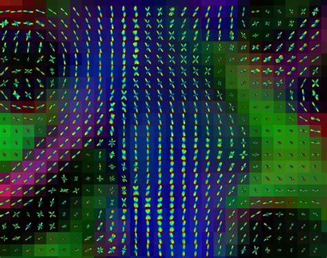 Github Mic Dkfz Mitk Diffusion Mitk Diffusion Official Part Of The