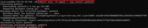 How To Install Python In Kubernetes Pod GeeksforGeeks
