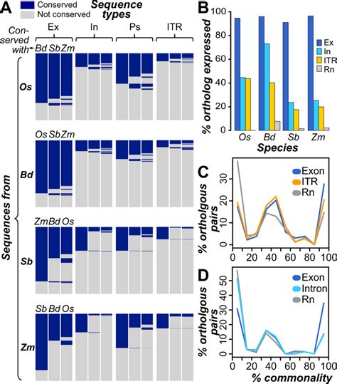 Sequence And Expression Conservation Of Transcribed Regions A