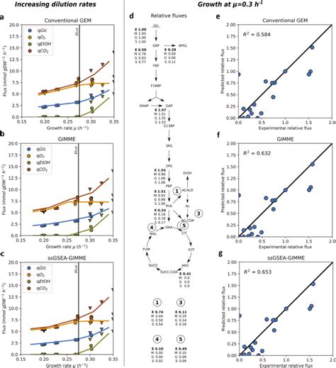 Metabolic Function Based Normalization Improves Transcriptome Data Driven Reduction Of Genome