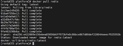Redis Centos8에 Redis 설치 및 Springboot 연동하기